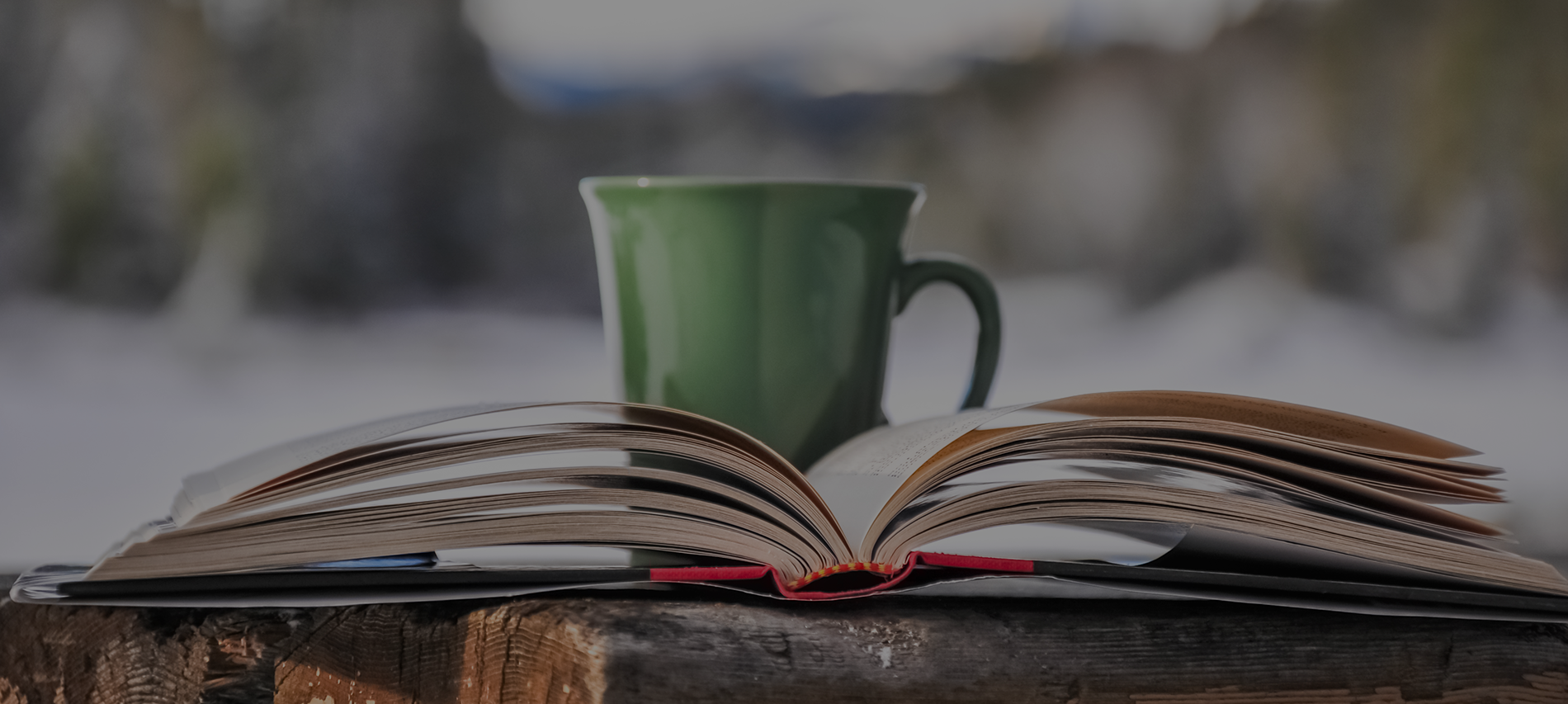 Guidelines For Buying The Best Business Management Books King Of Guidelines For Buying The Best Business Management Books King Of