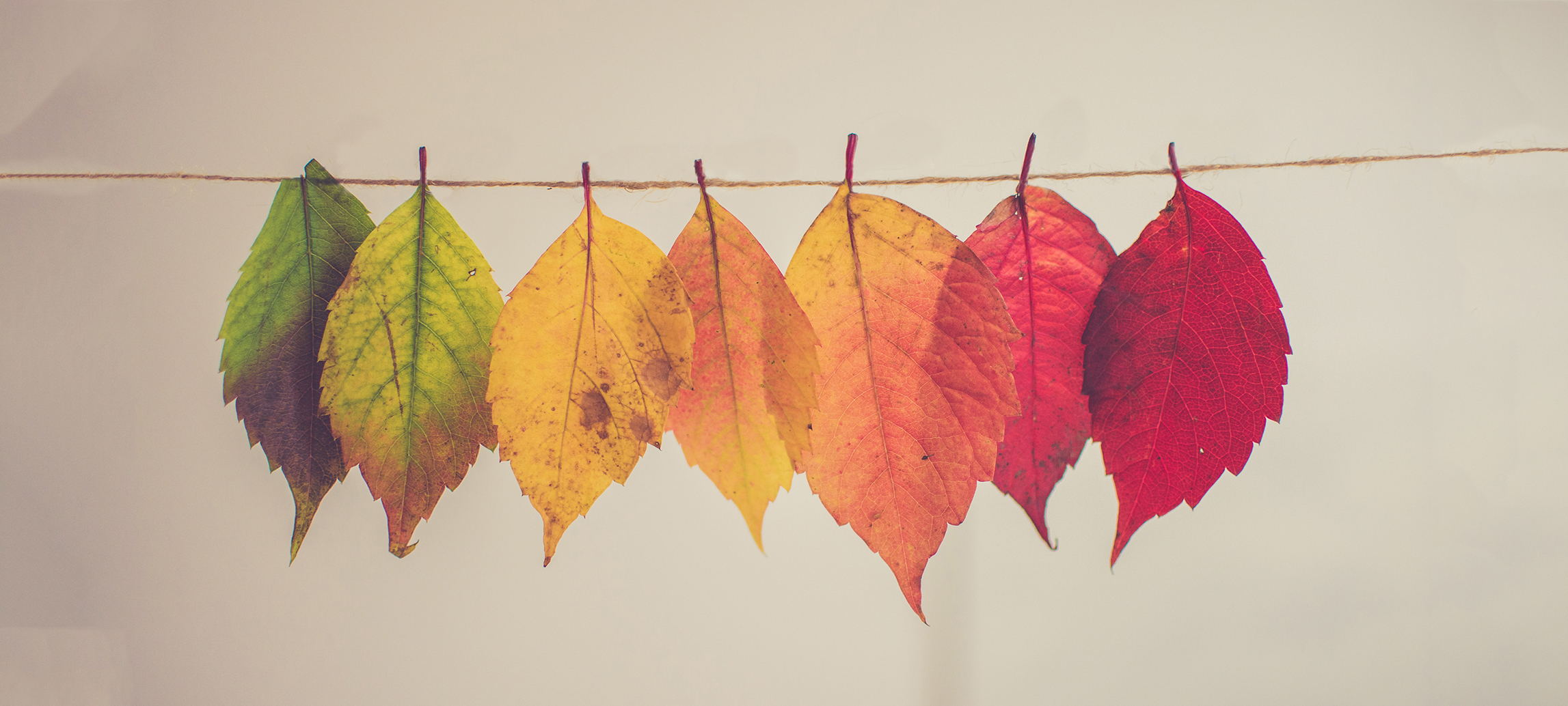 Puffin Books for the Young Ones This Fall - Penguin Random House India