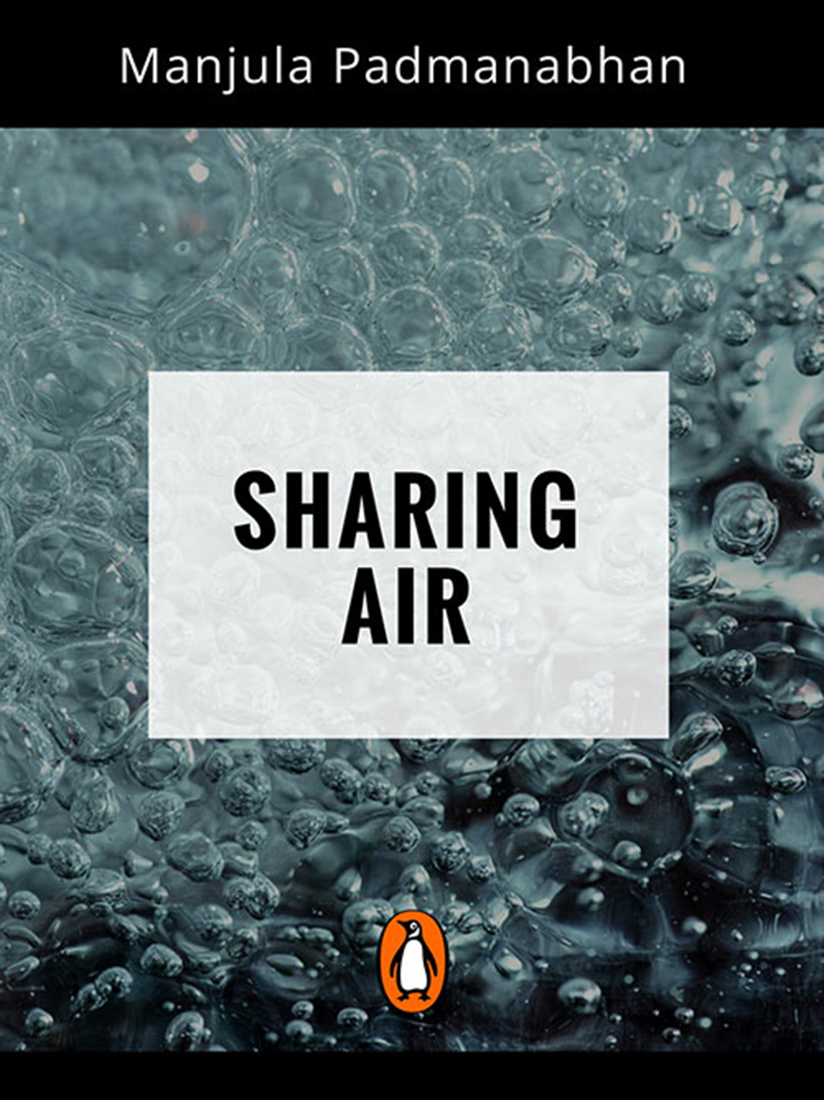 Sharing Air - Penguin Random House India